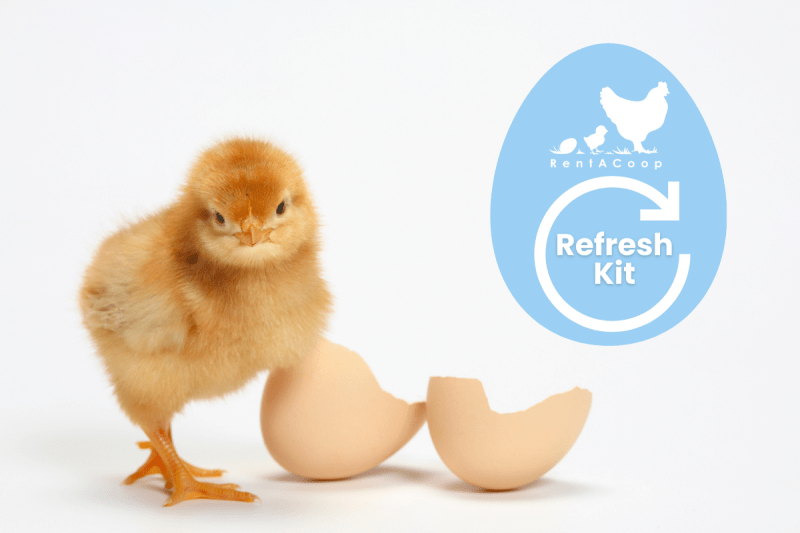 Little Red Barn Refresh Kit – RentACoop