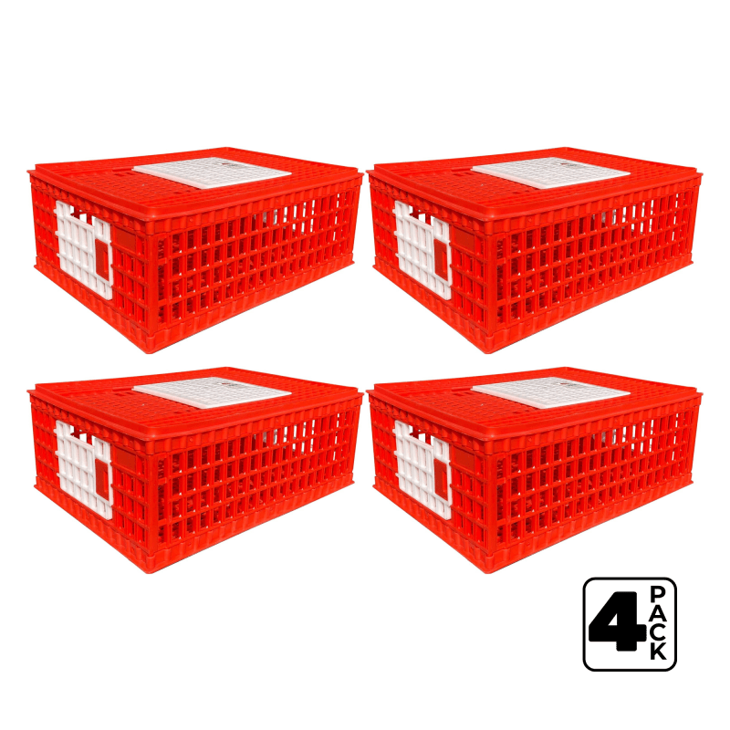 Stackable Chicken Carrier Crate 4-Pack | Coop Supplies | RentACoop
